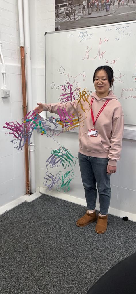 Members – Luk's research group