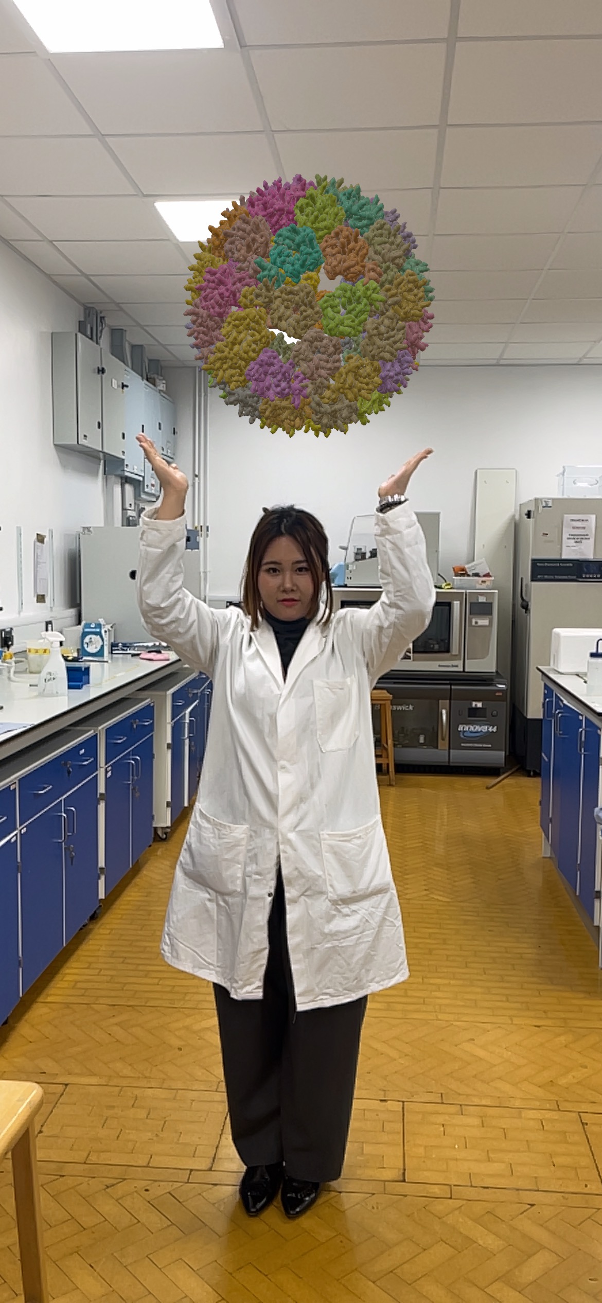 Members – Luk's research group